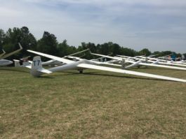 H 301 Libelle