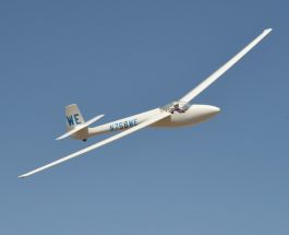 H 201 Standard Libelle