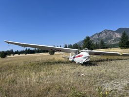 Schweizer SGS 2-33