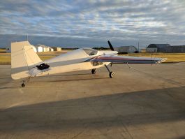 Rebel 300: Aerobatic Airplane.
